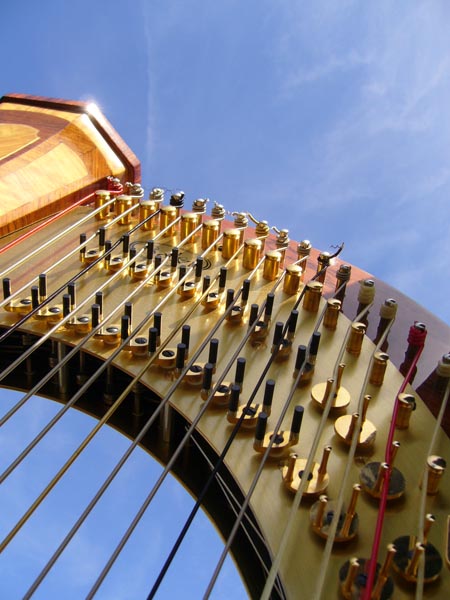 Vancouver Harp | Gallery